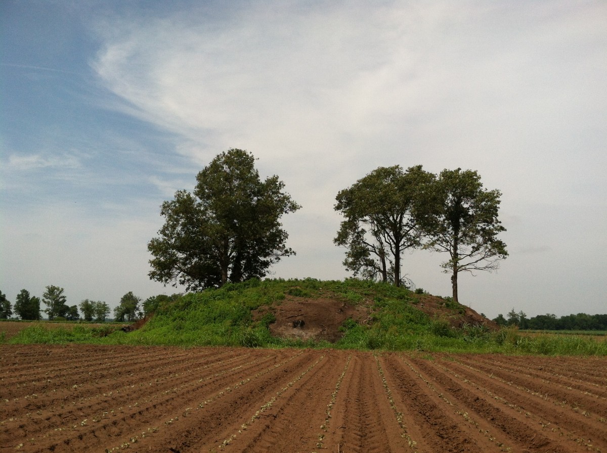 Arkansas Mounds (Statewide) | Preserve Arkansas